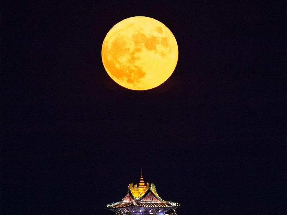 网络中国节·中秋